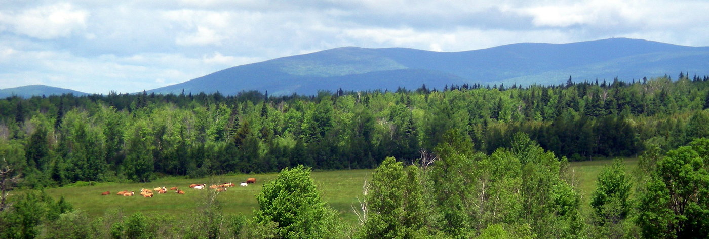 rsz_2dscn2584_3 - Municipalité de Chartierville