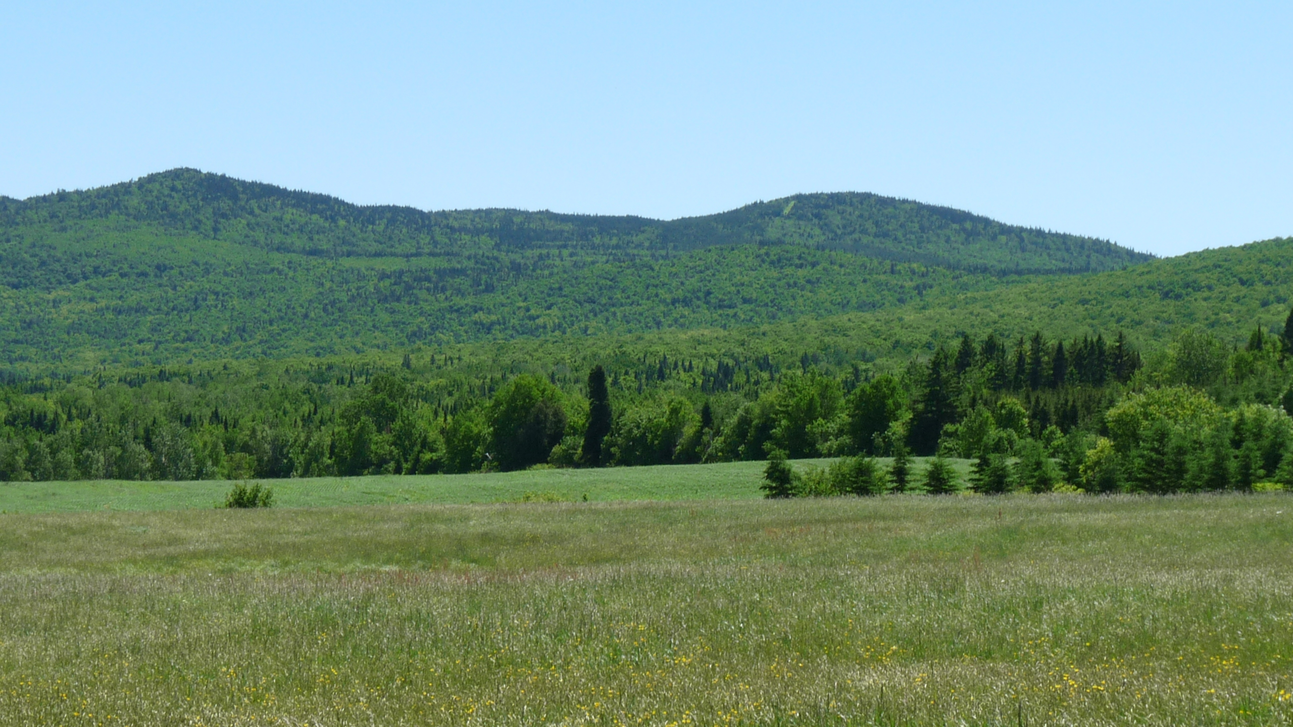 Johnnyrang Verchère - Municipalité de Chartierville